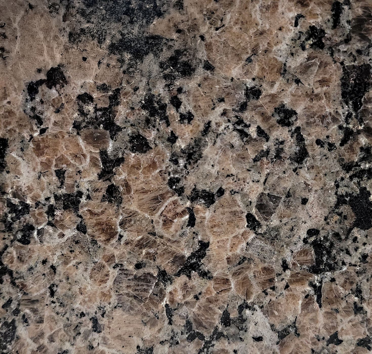 Cosmo Cabinets: Granite Countertop - Graphite Brown 2690525 | Material Bank